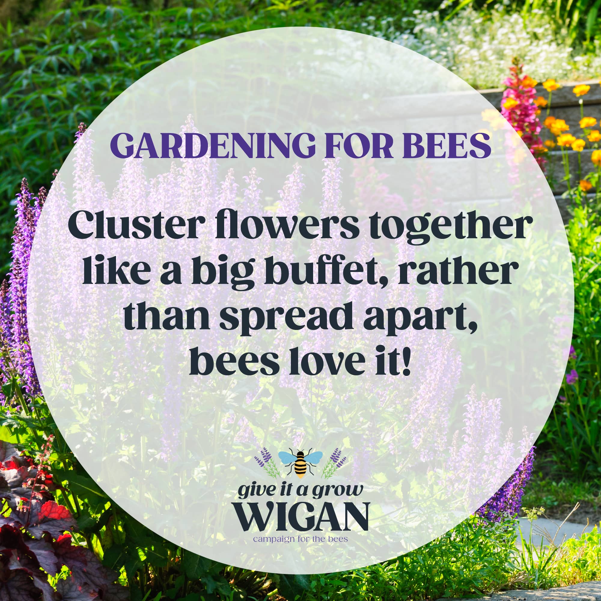 Gardening for Bees - Give it a Grow Wigan